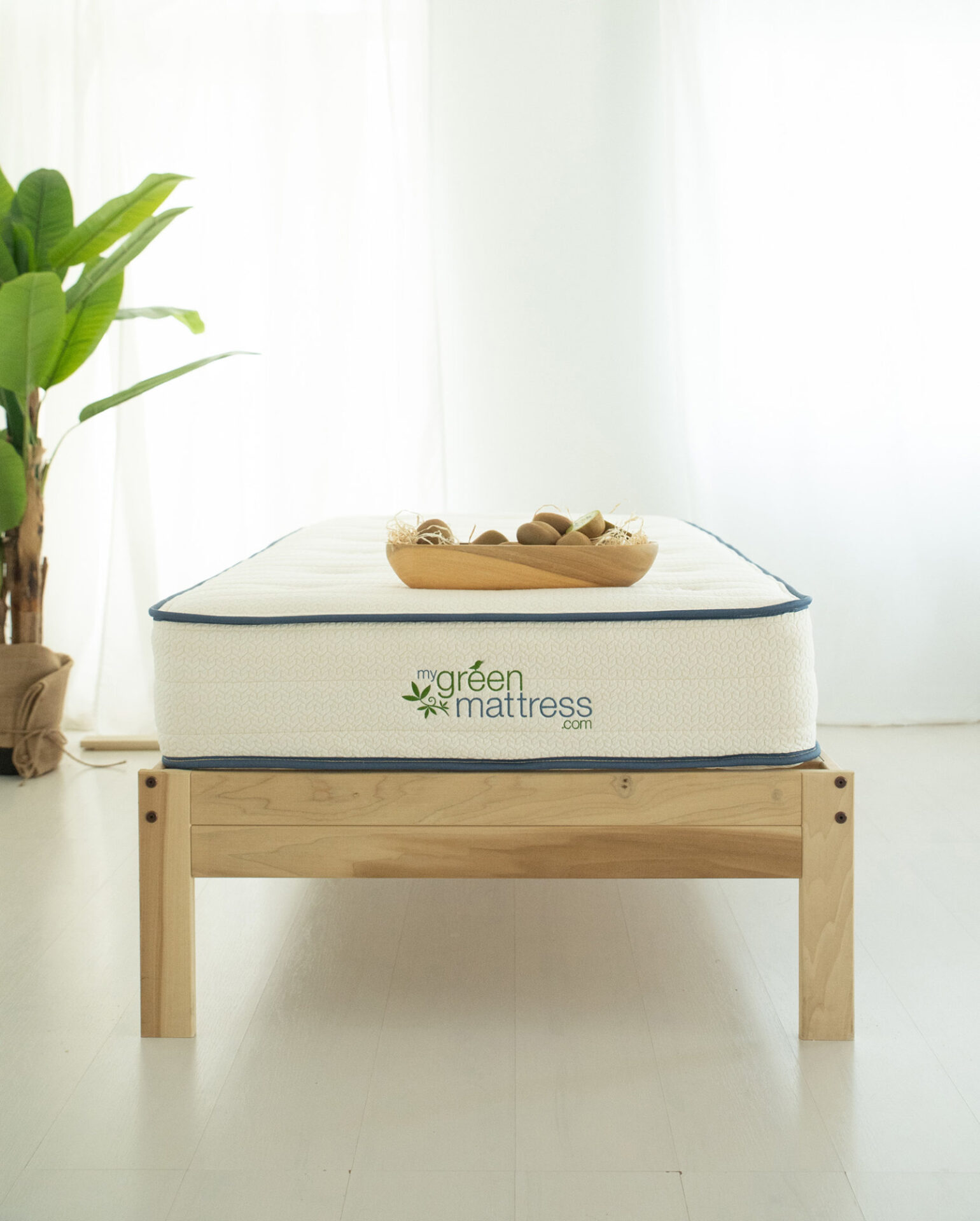 Image Library - My Green Mattress